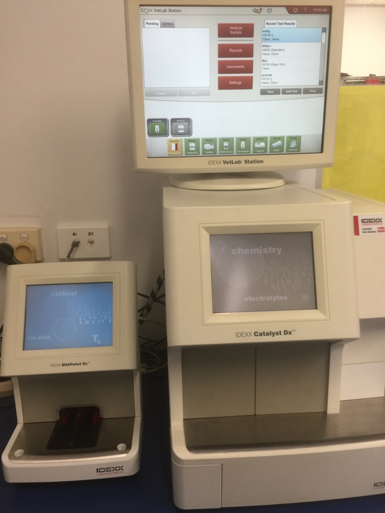 Lab Snapshot Dx and Catalyst Dx – WellPet Vets