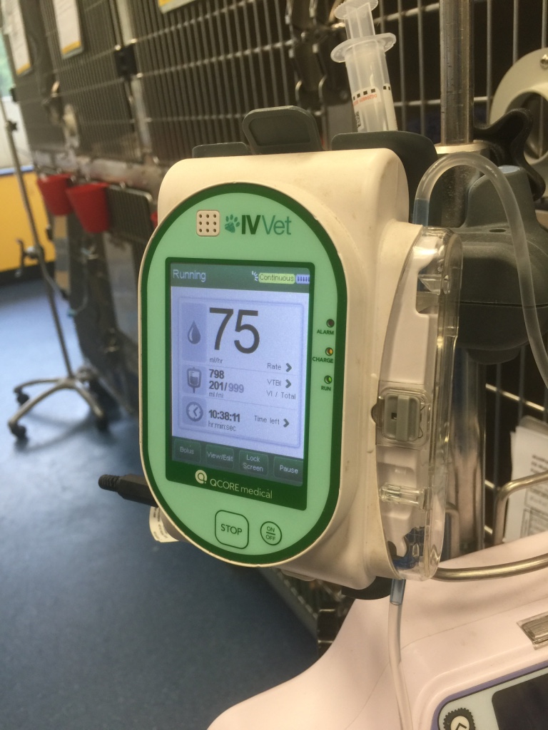 iv vet pump – WellPet Vets